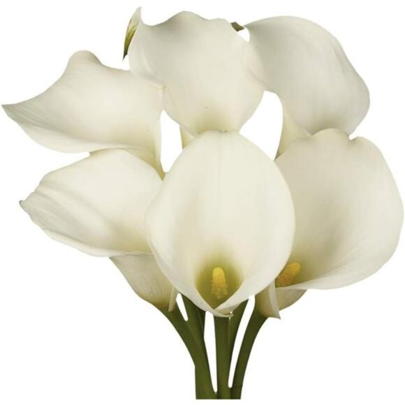 Other | 3 White Mini Calla Lily Flowers Handpicked Flowers Fresh ...